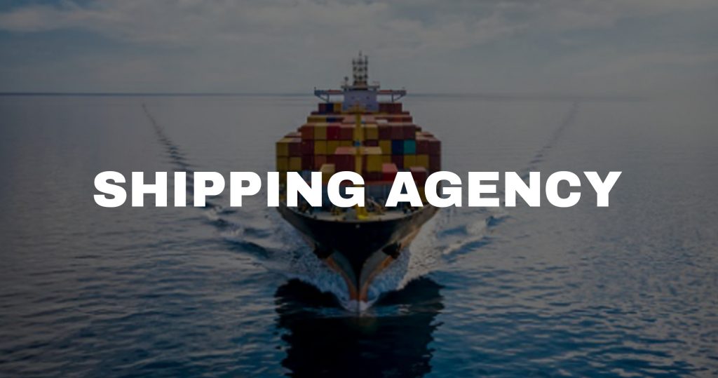 Contact Us – M International Group